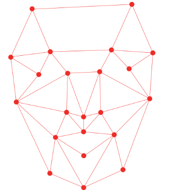 Provision - Security NZ