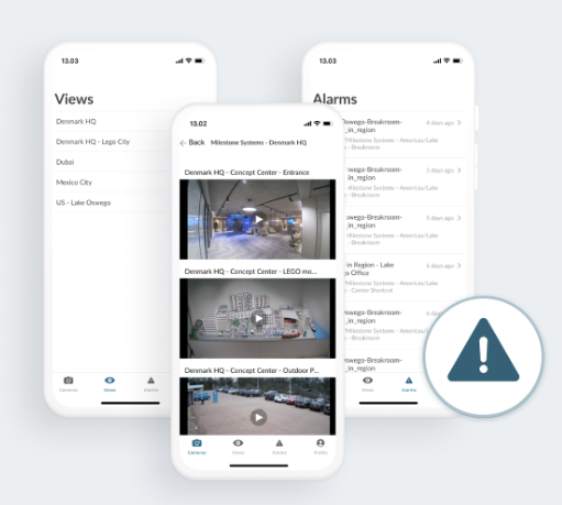 Milestone - Security NZ